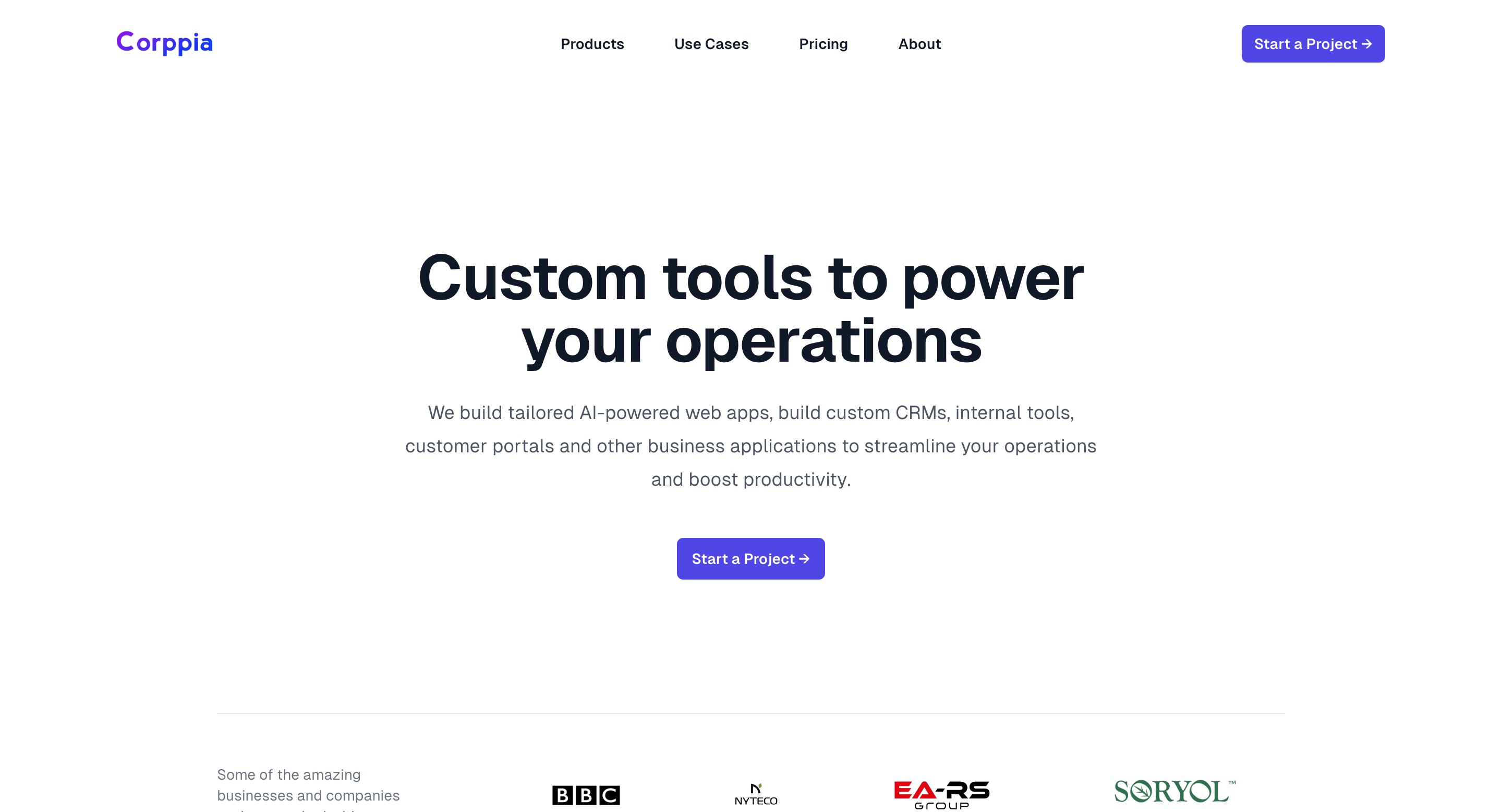 Custom AI tools & business applications for your team